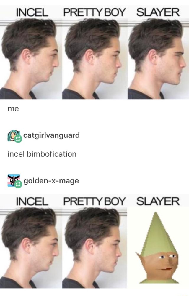 INCEL PREITY BOY SLAYER INCEL PRETTY BOY SLAYER - iFunny