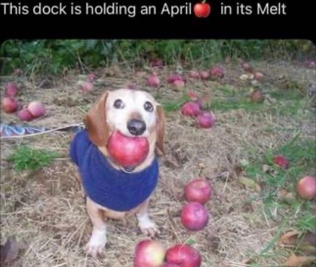 This dock is holding an April in its Melt - iFunny