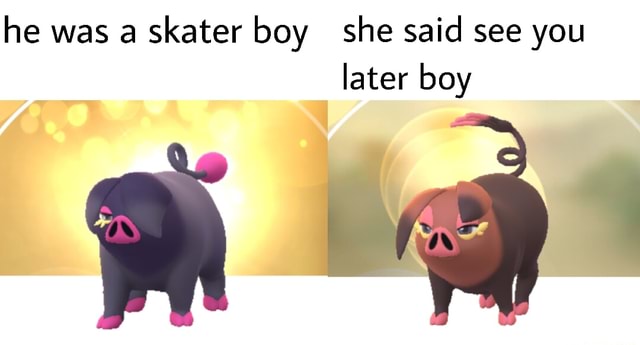 He was a skater boy she said see you later boy - iFunny