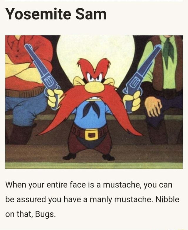 Yosemite Sam When your entire face is a mustache, you can be assured ...