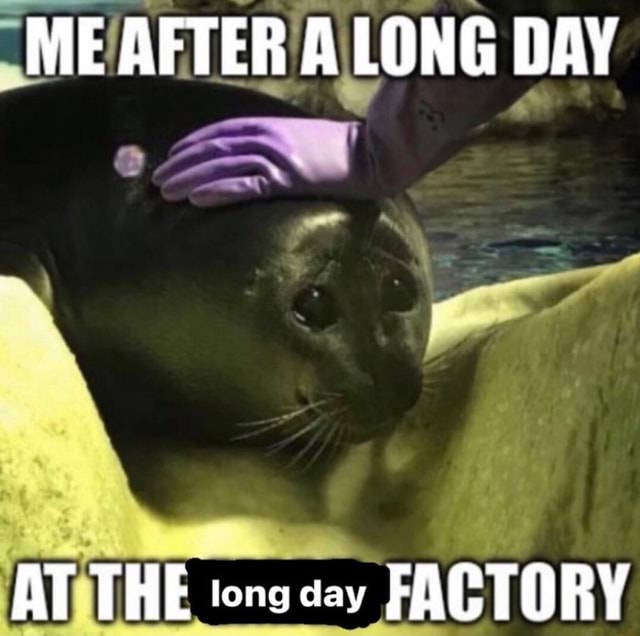 ME AFTER A LONG DAY AT THE FACTORY - iFunny