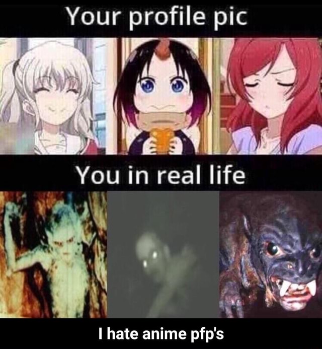 I hate anime pfp's - I hate anime pfp's - iFunny