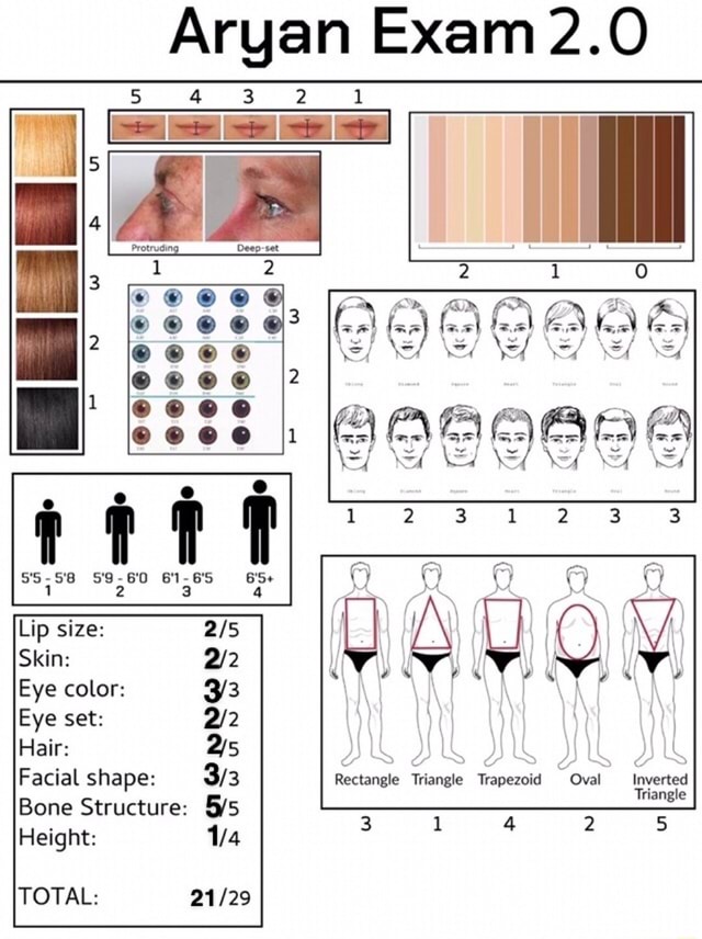 Aryan Exam 2.0 shape: Rectangle Triangle "Qual Inverted Triangle Bone ...