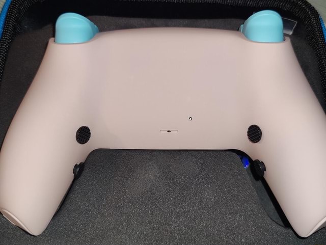 Custom PS5 controller by Battle Beaver - iFunny