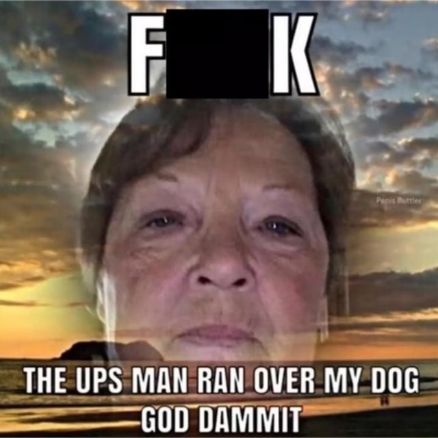 THE UPS MAN RAN OVER MY DOG GOD DAMMIT - iFunny