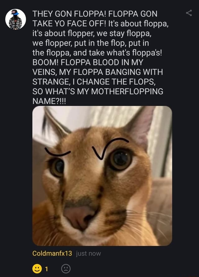 THEY GON FLOPPA! FLOPPA GON TAKE YO FACE OFF! It's about floppa, it's ...