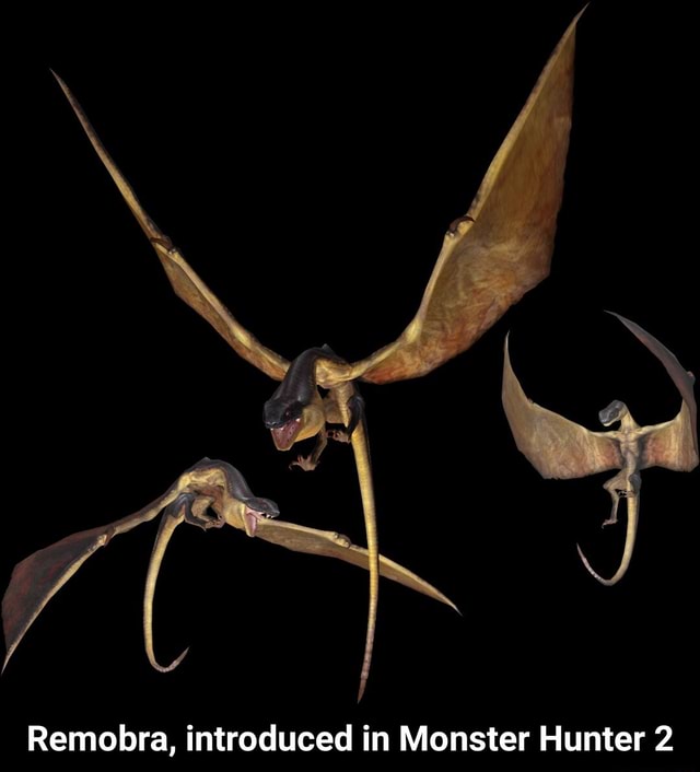 Remobra, introduced in Monster Hunter 2 - Remobra, introduced in ...