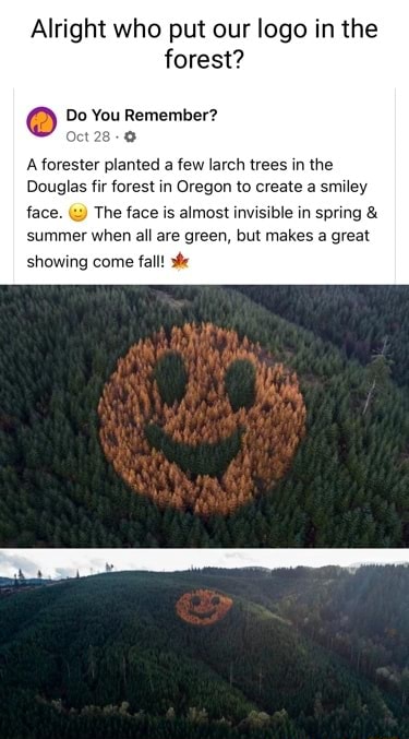 Alright who put our logo in the forest? Do You Remember? Oct A forester ...