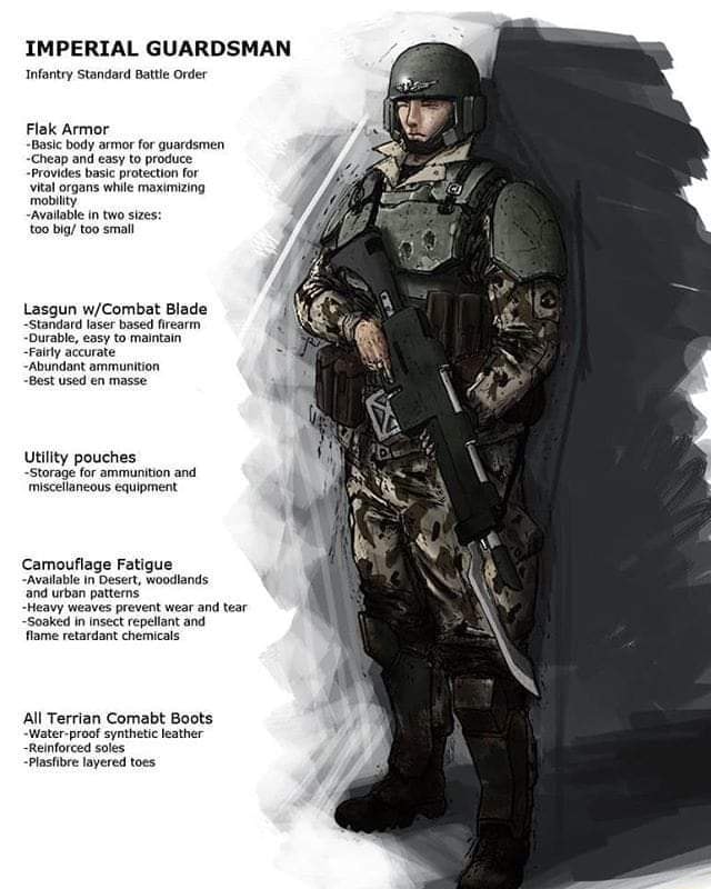 IMPERIAL GUARDSMAN Infantry Standard Battle Order Flak Armor Basic body ...