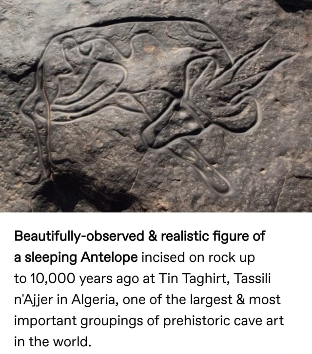 Beautifully-observed & realistic figure of a sleeping Antelope incised ...