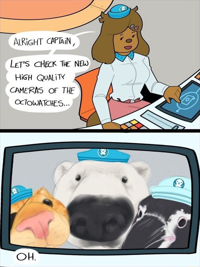 ALRIGHT CAPTAIN , LeT'S CHECK THE NEW HiGH CAMERAS OF THE OCTOWATCHES ...