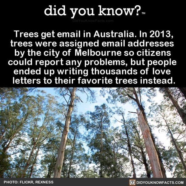 Did you know?. Trees get email in Australia. In 2013, trees were ...