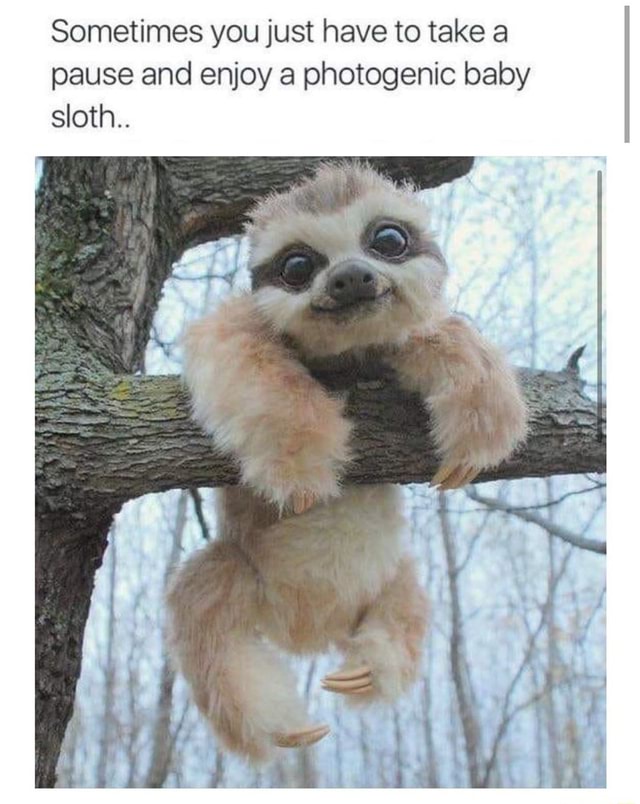 Sometimes you just have to take a pause and enjoy a photogenic baby ...