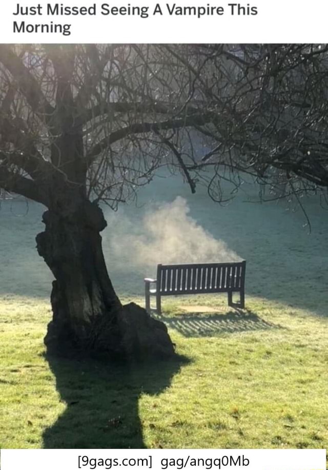 Just Missed Seeing A Vampire This Morning SSS - iFunny