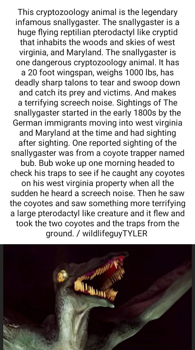 This cryptozoology animal is the legendary infamous snallygaster. The ...