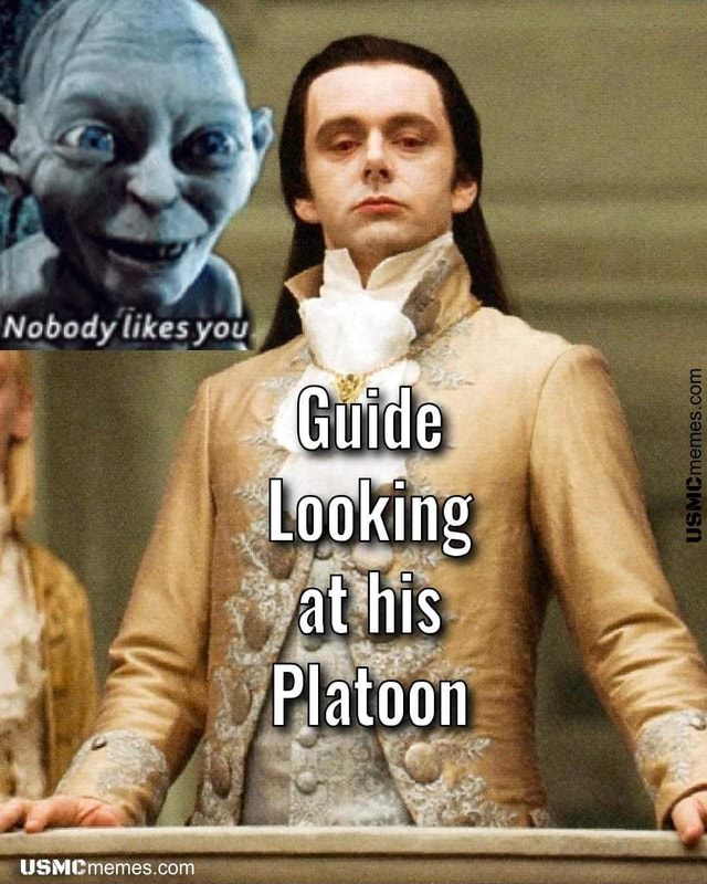 Meme 1085 - Guide looking at Platoon - Guide Looking US "memes.con at ...