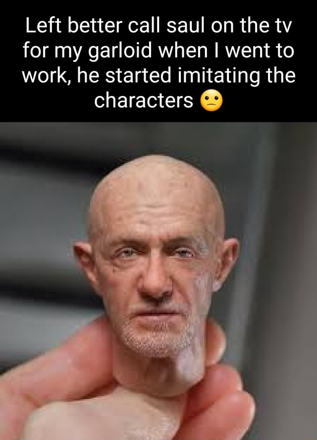 Left better call saul on the tv for my garloid when I went to work, he ...