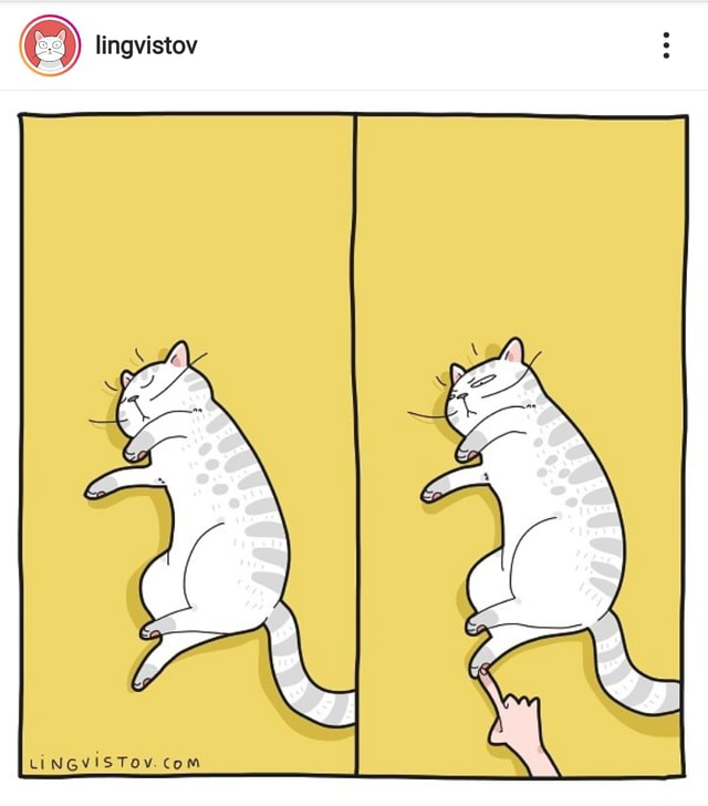 Happy 11th Imgur! Here are some Cat memes - )