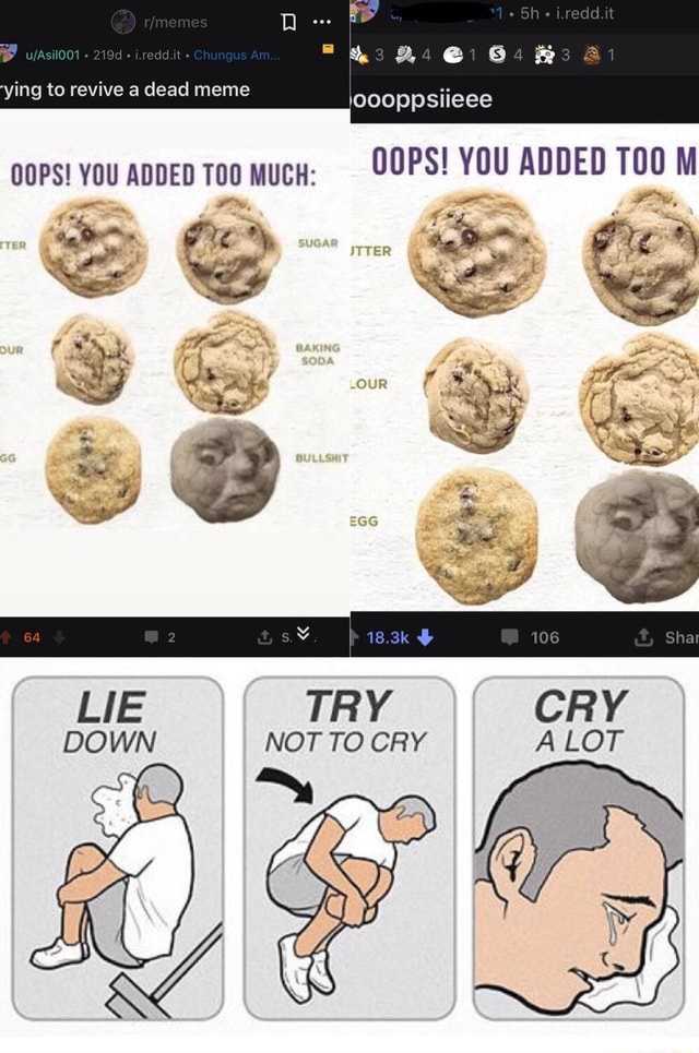 "4 29 @ 6 & ying to revive a dead meme 'oooppsiieee OOPS! YOU ADDED TOO MUCH: OOPS! YOU ADDED M ...