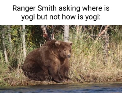 Ranger Smith asking where is yogi but not how is yogi: - iFunny