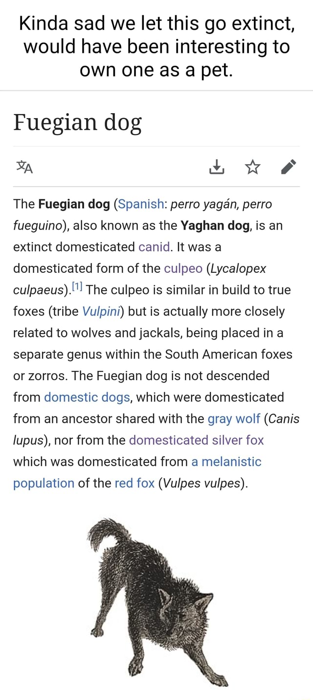 Kinda sad we let this go extinct, would have been interesting to own ...