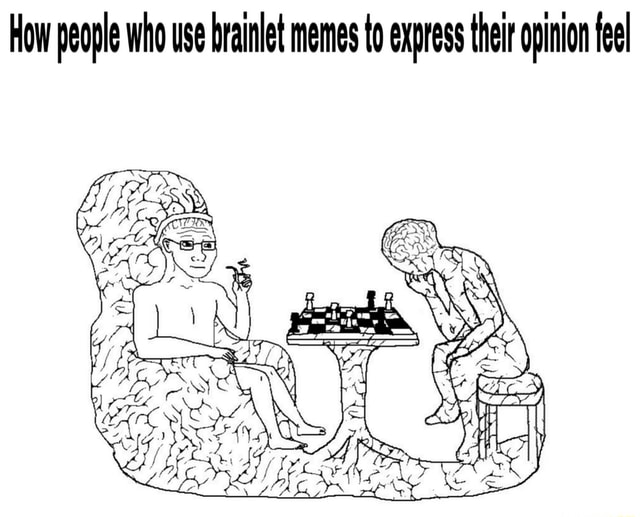 How people who use brainlet memes to express theiropinion feel - iFunny