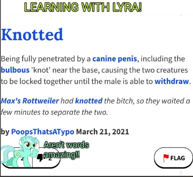 LEARNING WITH LYRA Knotted Being fully penetrated by a canine penis ...