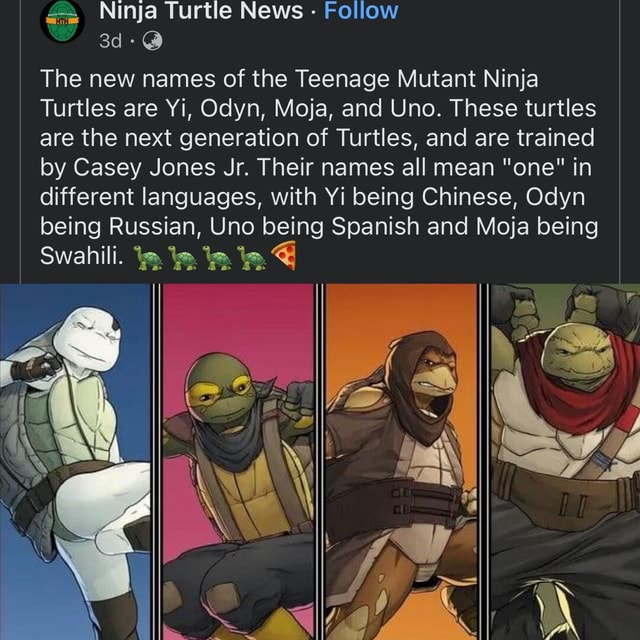 Ninja Turtle News - Follow The new names of the Teenage Mutant Ninja ...
