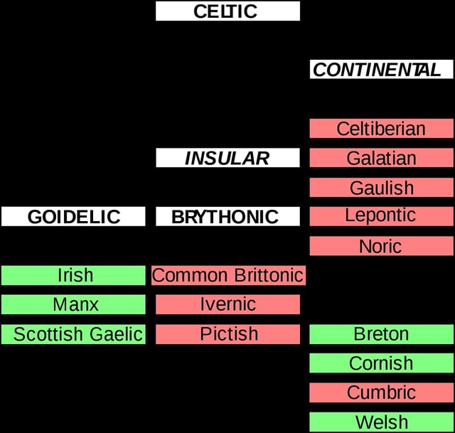 CELTIC CONTINENTAL Ceaktiberian IIMSULAR Galatian Gaulish GOIDELIC ...