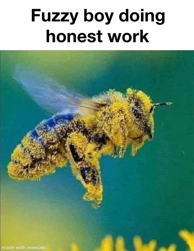Fuzzy boy doing honest work ade with mematic. - iFunny