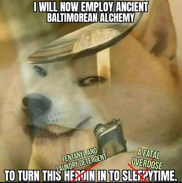 I WILL NOW EMPLOY ANCIENT BALTIMOREAN ALCHEMY TO TURN THIS IN TO - iFunny