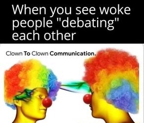 When you see woke people "debating" each other Clown To Clown ...
