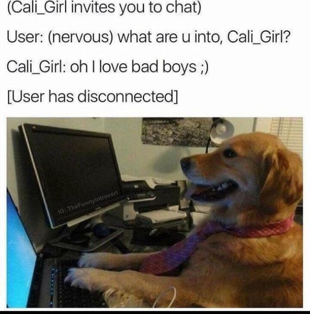 Meme dump pt.5 - (Cali_Girl invites you to cnat) User: (nervous) what ...