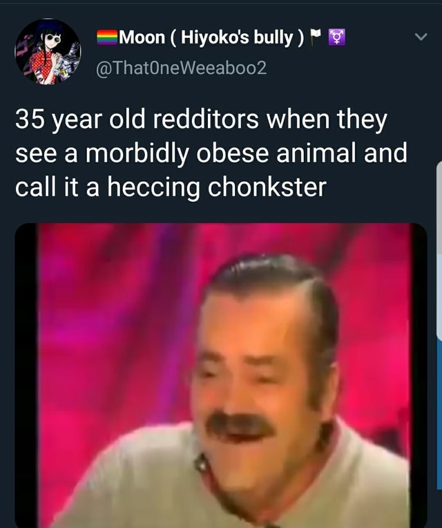 35 year old redditors when they see a morbidly obese animal and call it ... 35 year old redditors when they see a morbidly obese animal and call it ...