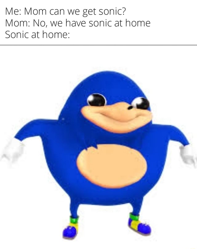 Me: Mom can we get sonic? Mom: No, we have sonic at home Sonic at home ...