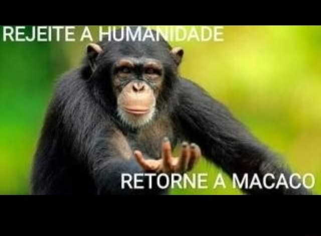 REJEITE RETORNE MACACO - iFunny