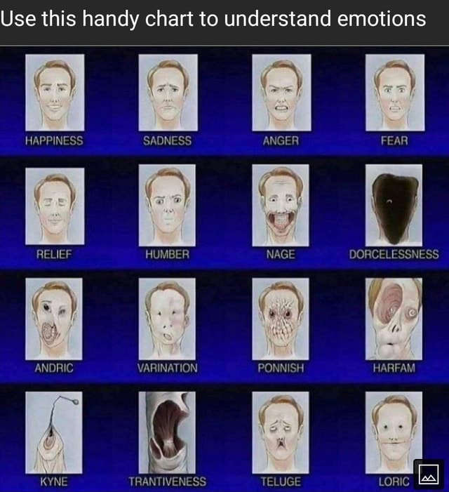 Use this Use this handy chart to understand emotions HAPPINESS SADNESS ...