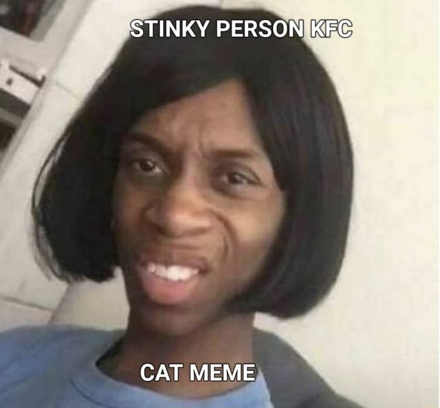 STINKY PERSON KFC CAT MEME - iFunny
