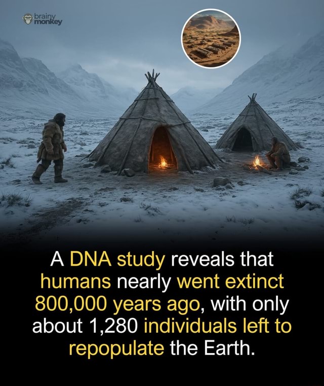 Brain Key A DNA study reveals that humans nearly went extinct 800,000 ...