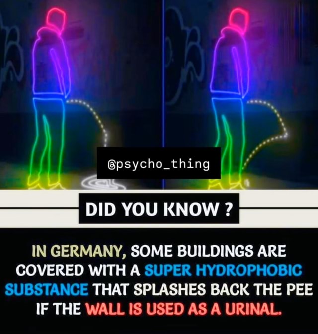@psycho_thing DID YOU KNOW ? IN GERMANY, SOME BUILDINGS ARE COVERED ...