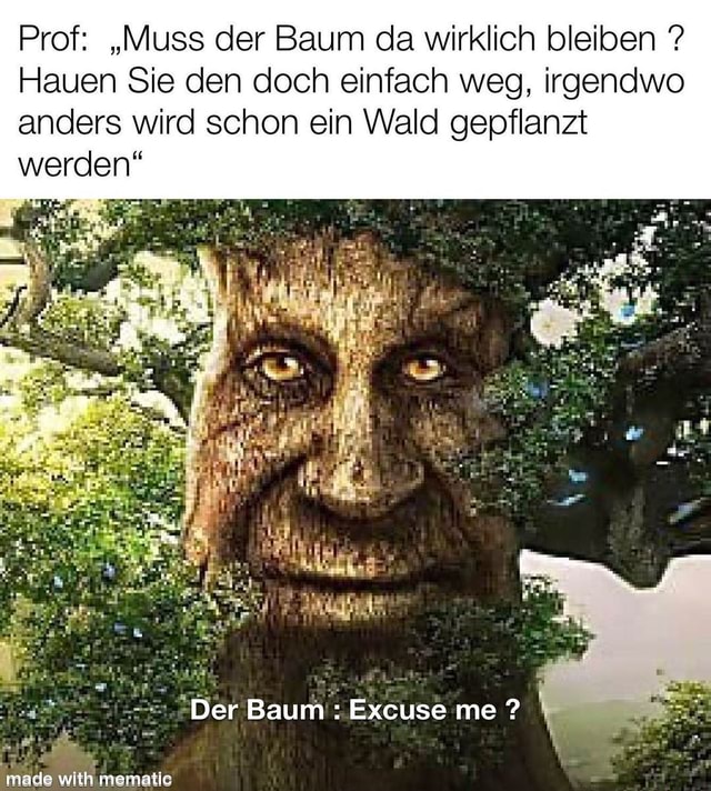 Der arme Baum 🗿 #architektur #architekturmemes #memes #funny #lustig # ...