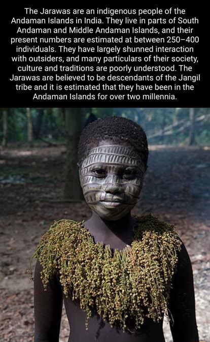 The Jarawas are an indigenous people of the Andaman Islands in India ...