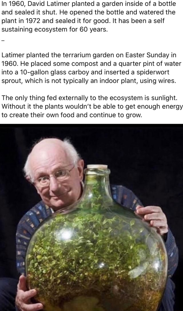 In 1960, David Latimer planted a garden inside of a bottle and sealed ...