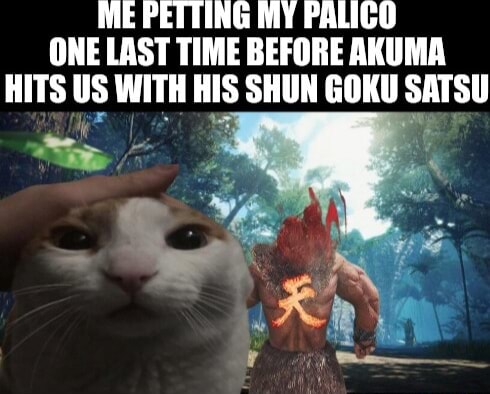 ME PETTING MY PALICO ONE LAST TIME BEFORE AKUMA HITS US WITH HIS SHUN ...