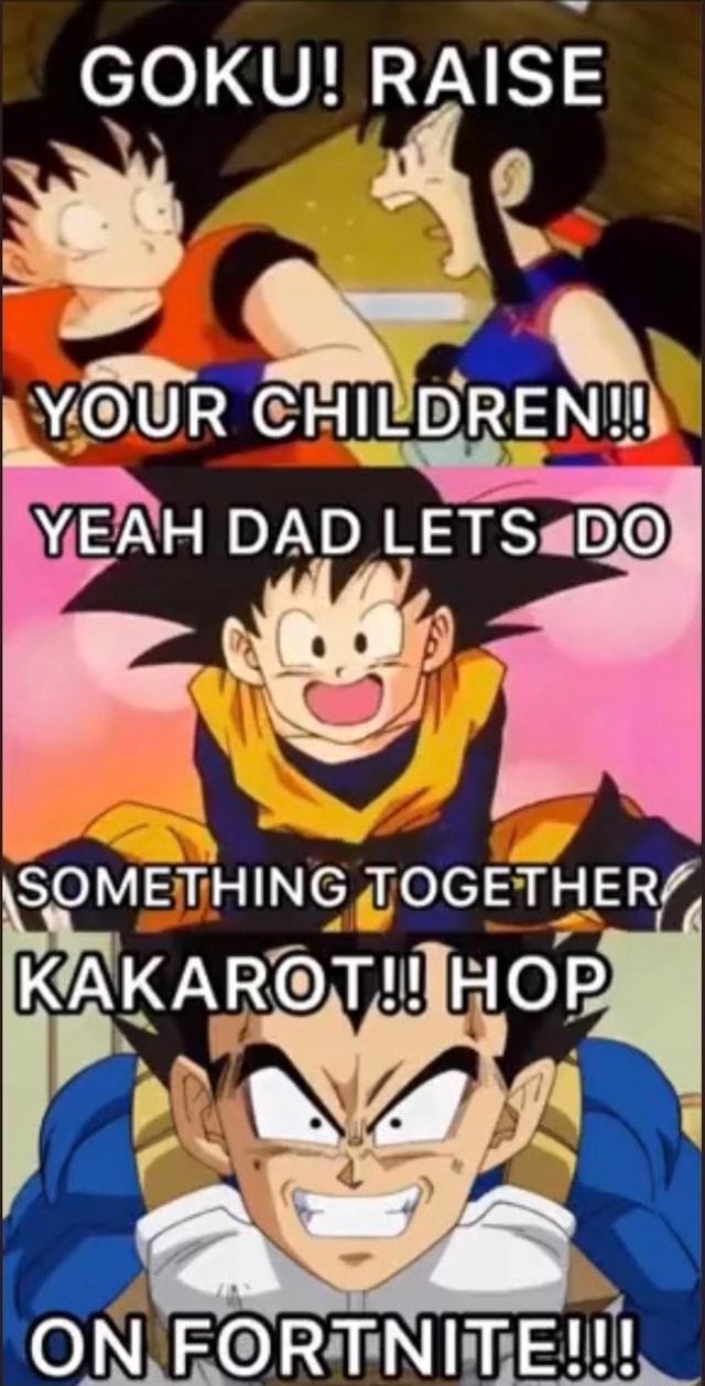 GOKU! RAISE YOUR CHILDREN!! YEAH DADLETS DO SOMETRING TOGETHER KAKAROT ...
