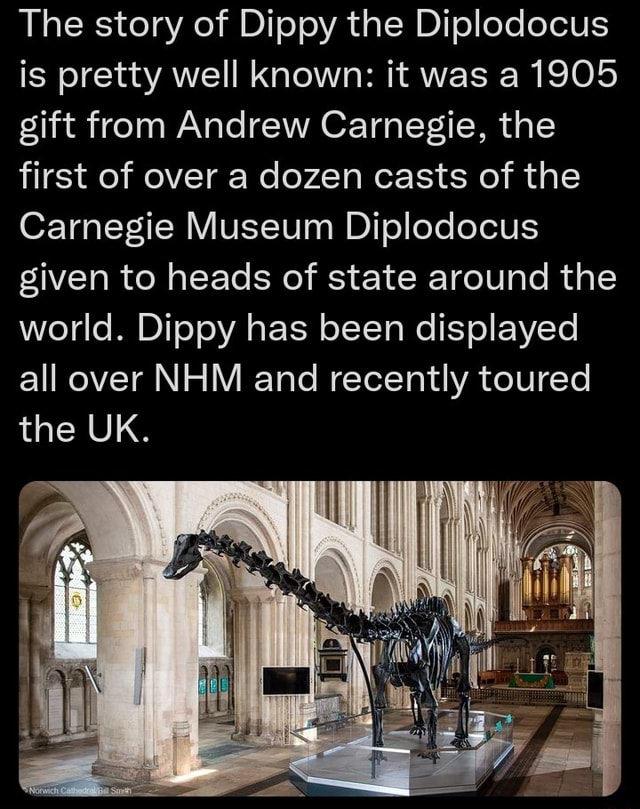 The story of Dippy the Diplodocus is pretty well known: it was a 1905 ...