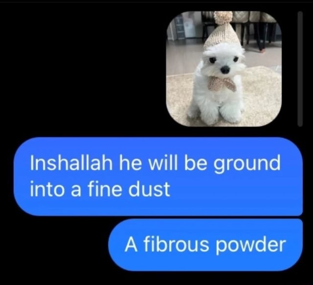 Inshallah he will be ground into a fine dust A fibrous powder - iFunny