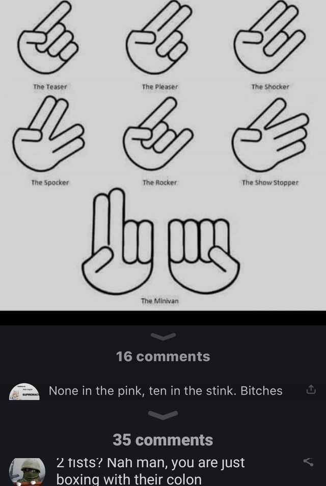 The Teaser The Pleaser The Shocker The Spocker The Rocker The Show ...