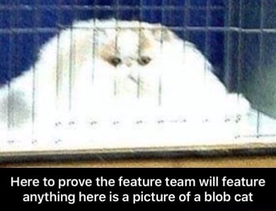 Here to prove the feature team will feature anything here is a picture ...