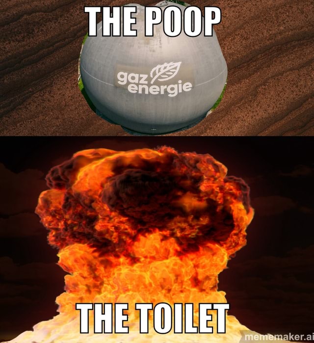 THE POOP THE TOILET - iFunny